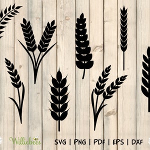 Wheat SVG Bundle, Grain SVG, Harvest Wheat, Grain Clipart, Vector Cut ...