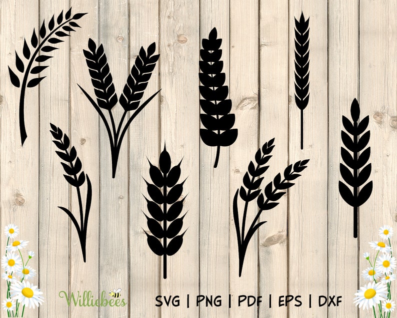Wheat SVG Bundle Grain SVG Harvest Wheat Grain Clipart - Etsy