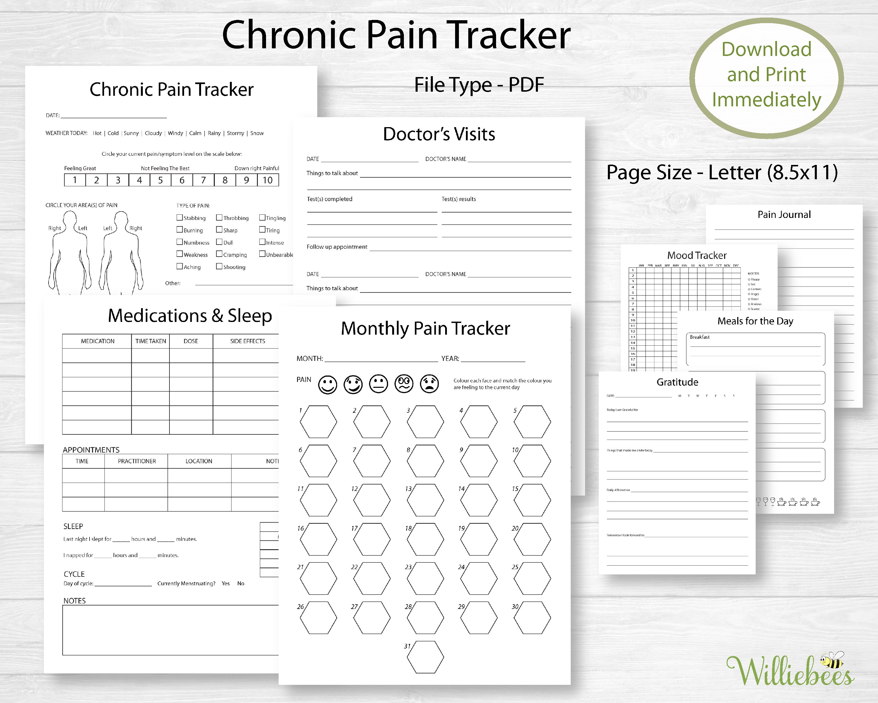 Chronic Pain Tracker Worksheets Pain Journal Personal - Etsy