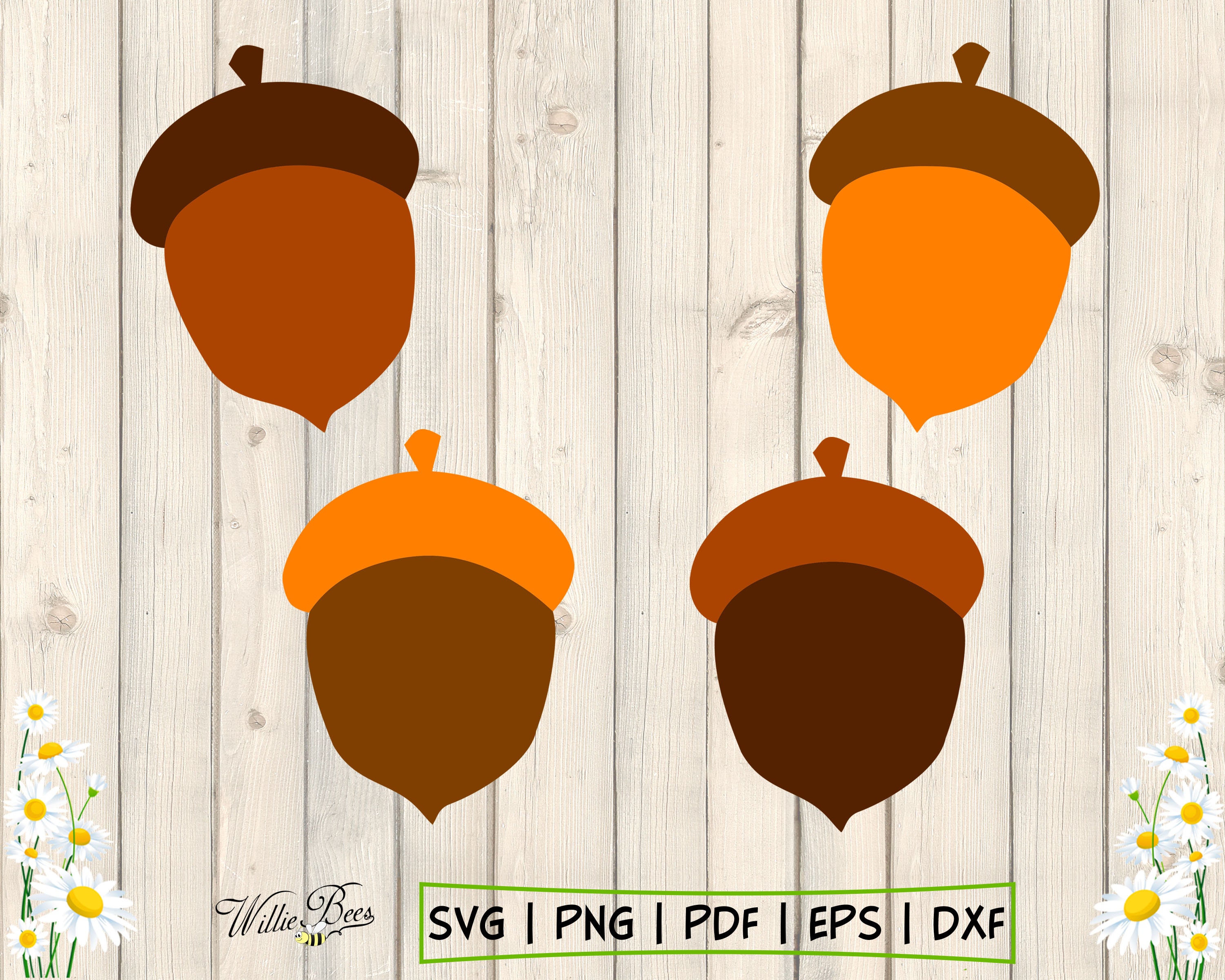Acorn SVG Fall Season Acorn Vector Designs Acorn - Etsy UK