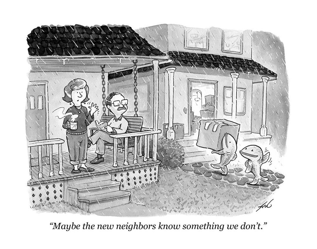 Signed Print of My Cartoon "maybe the New Neighbors Know Something We ...