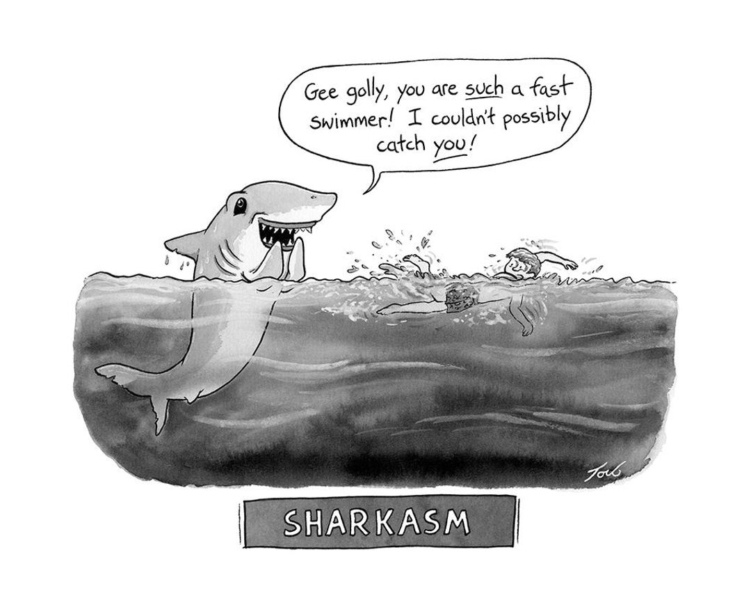 Signed Giclee Print of My Cartoon "sharkasm" - Etsy