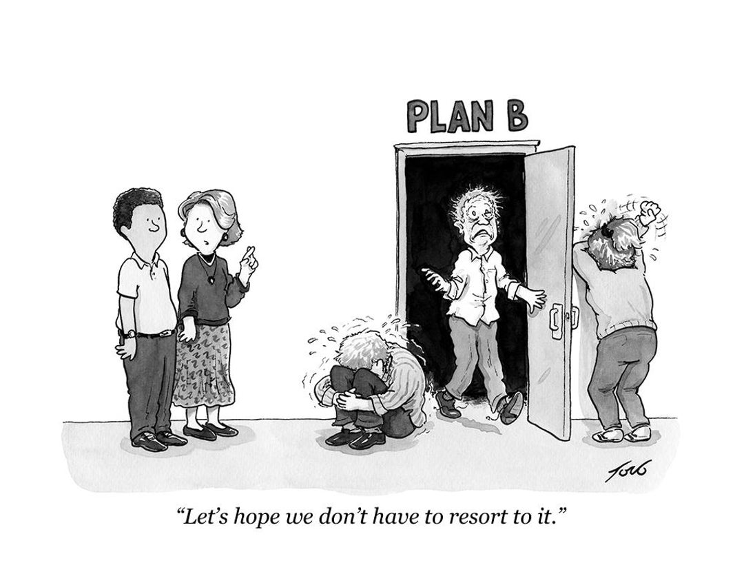 Signed Giclee Print of My Cartoon "plan B" - Etsy