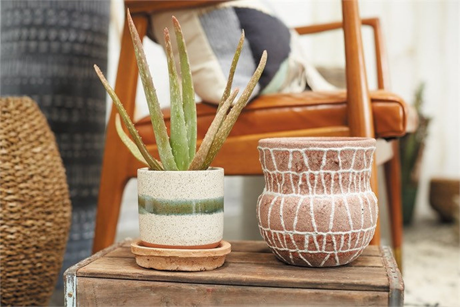 Elliot Planter - Speckled Ombré - Ceramic Pot in Multiple Sizes - Etsy