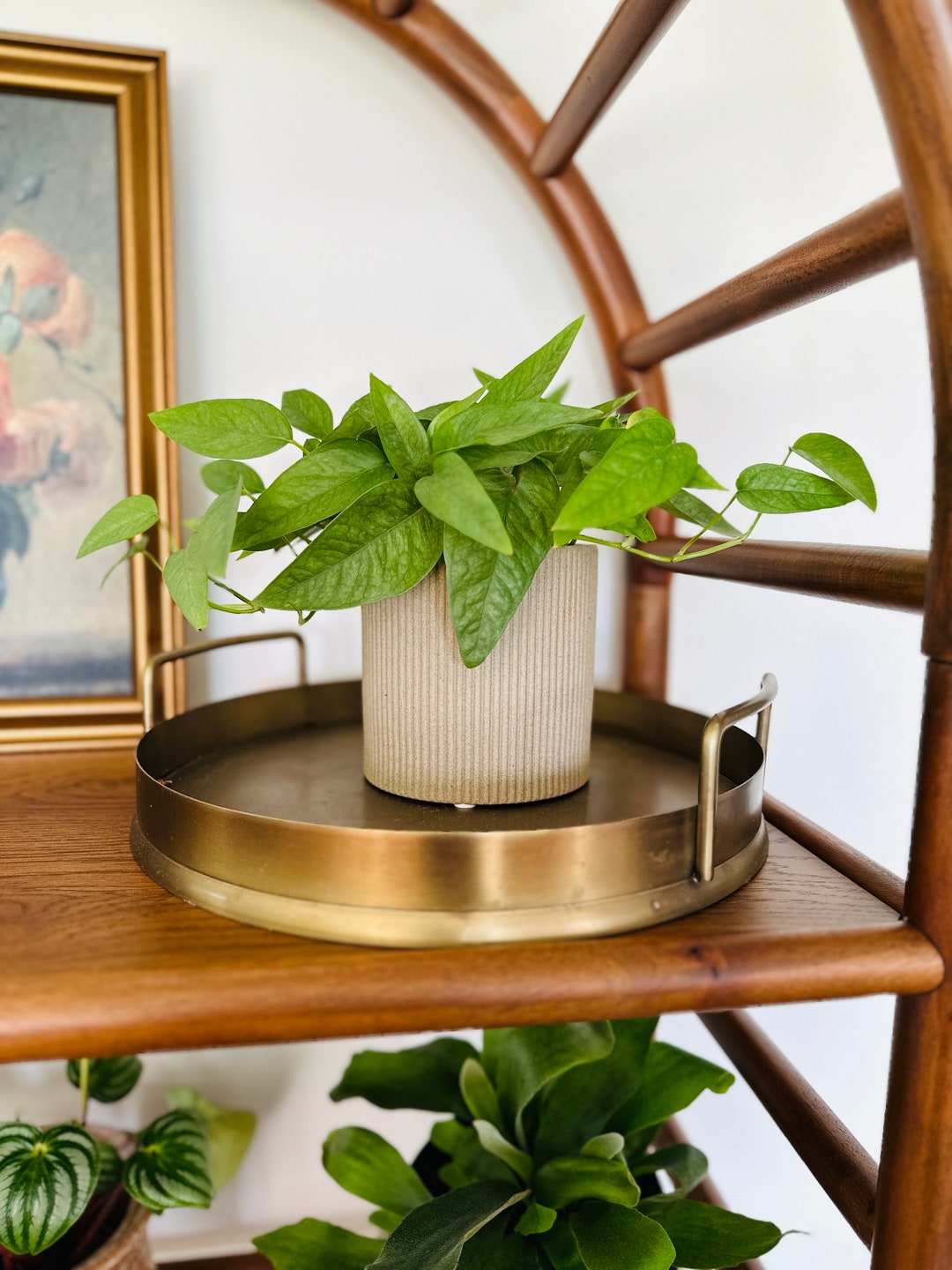 Indoor Planter Japandi Style Pot for Houseplants Minimalist Decor ...