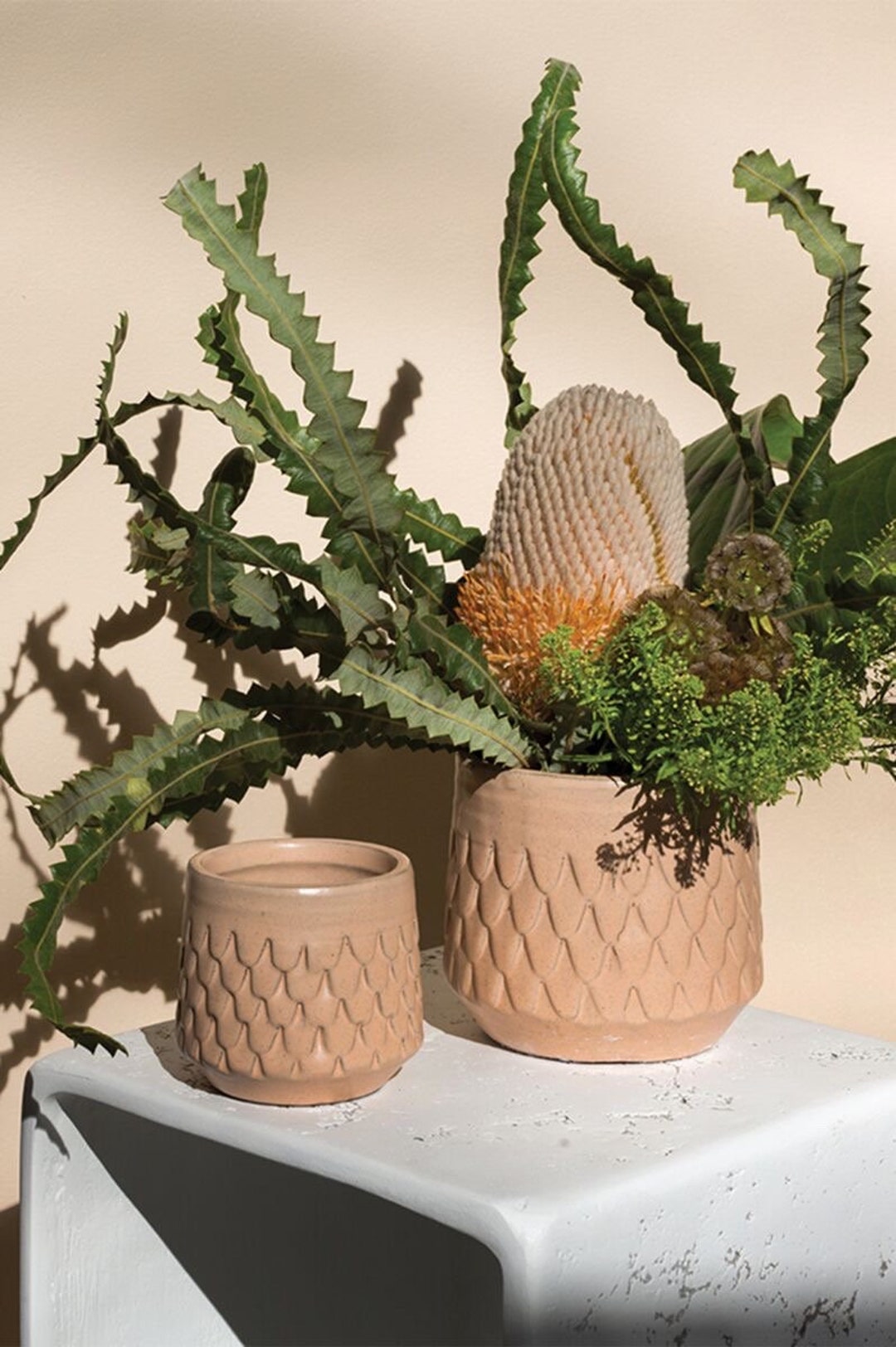 Shell Pot - Ridged Planter - Decorative Pot - Etsy