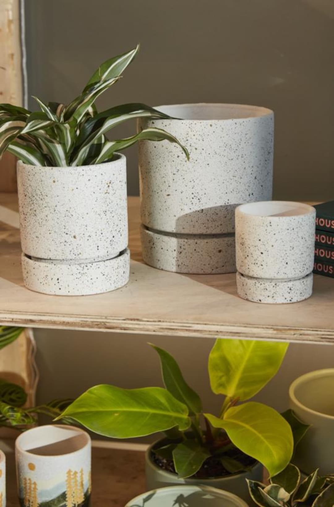 Aspen Planter - Speckled Saucer Pot - Fits up to 5" Plants - Etsy