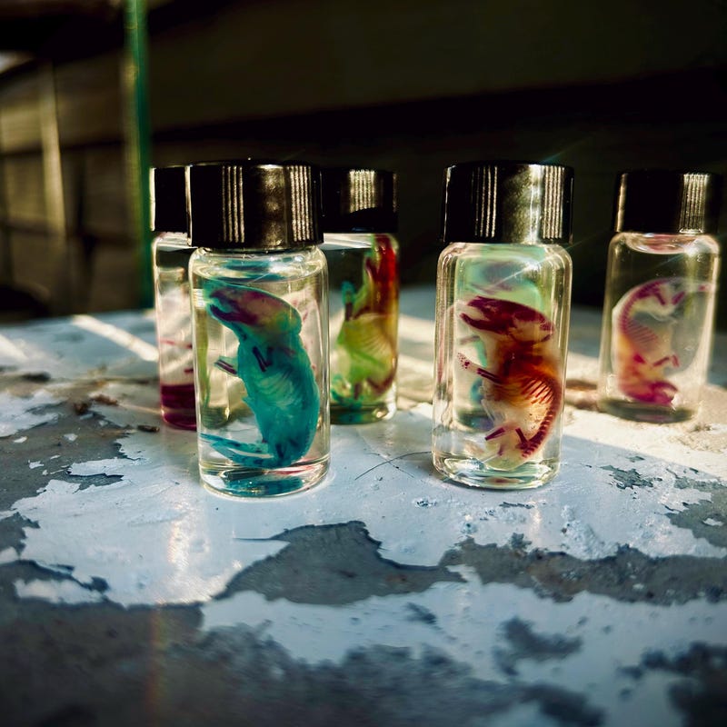 Diaphonization - Etsy