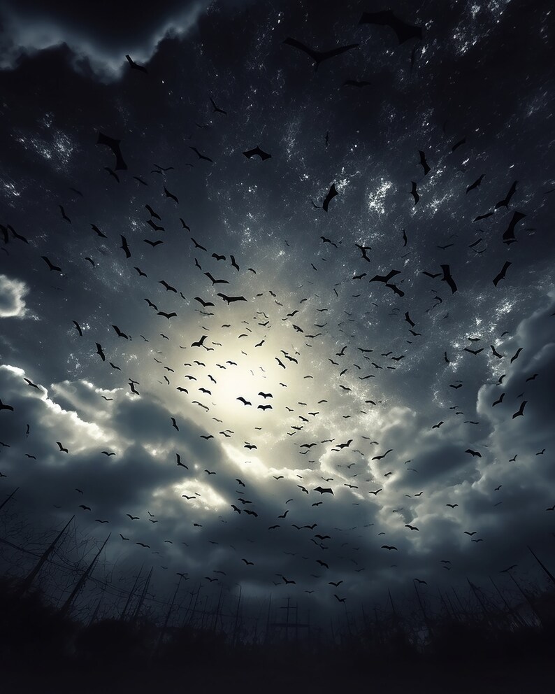 Spooky Bat Digital Backdrops 4 - Etsy