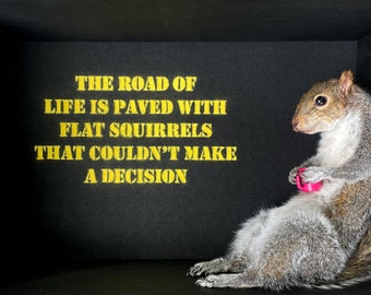 Be Decisive. the Road of Life is Paved With Flat Squirrels Who Couldn't ...