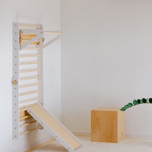 Climbing Triangle Wall Set With Slide, Gymnastic Wall With Pullup Bar ...