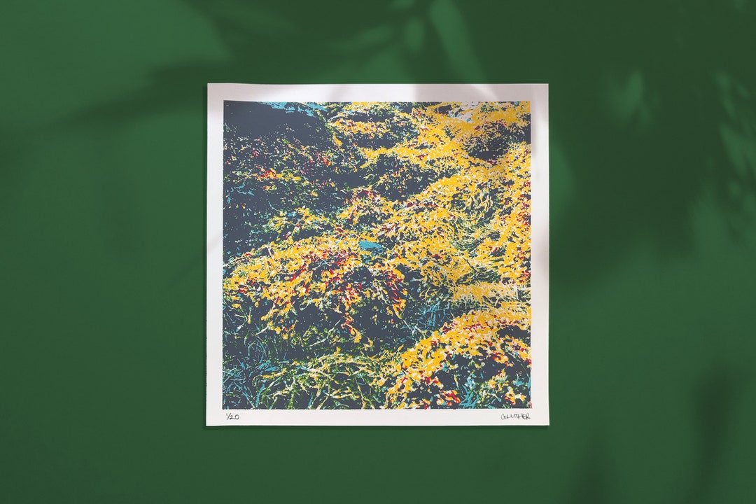 Scotland Print // Wall Art // Screen Print // Natural Forms at Loch ...