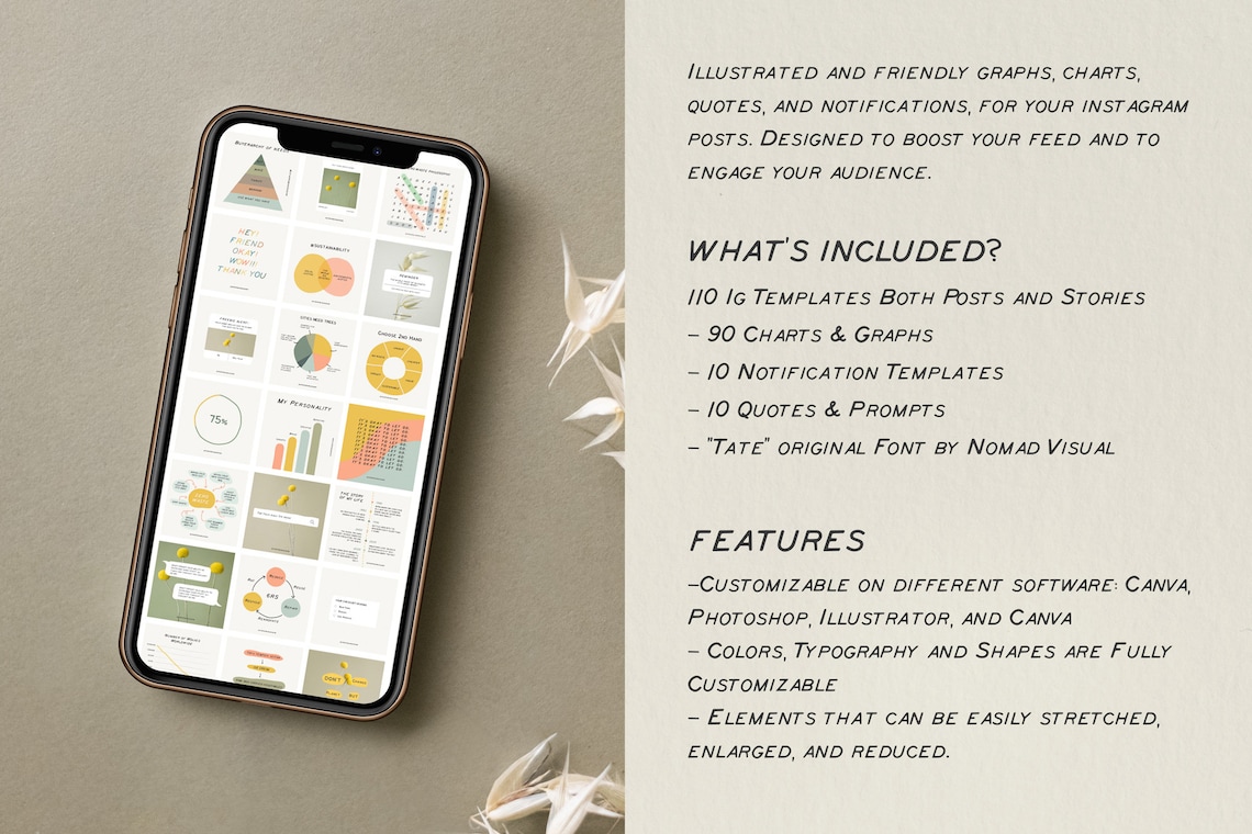 Charts and Graphs Social Kit Instagram Story Templates. Canva - Etsy