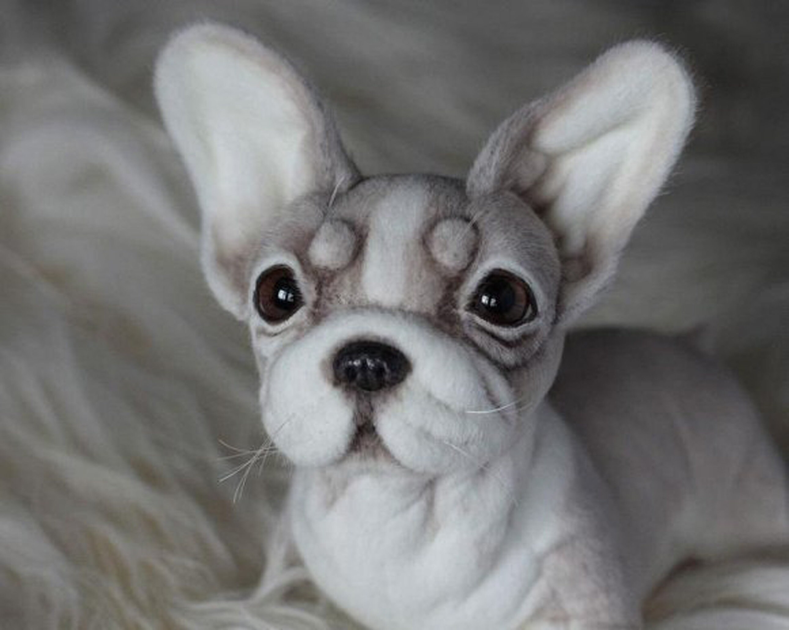 Made to Order Realistic Stuffed Dog, Plush Copy Bulldog, Soft Sculpture ...