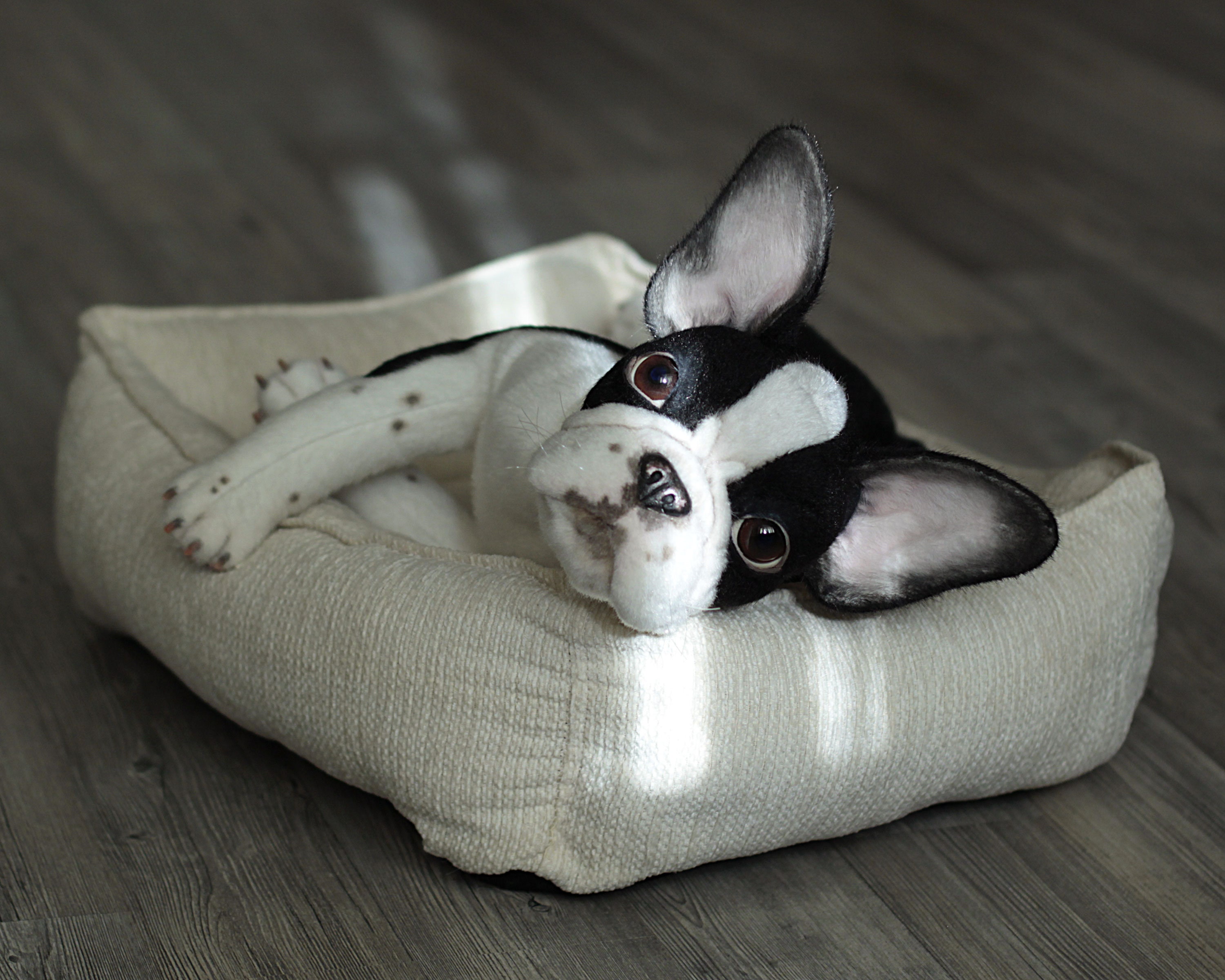 Realistic Toy Dog Art Doll , Plush Soft Sculpture, Lifelike Terrier ...