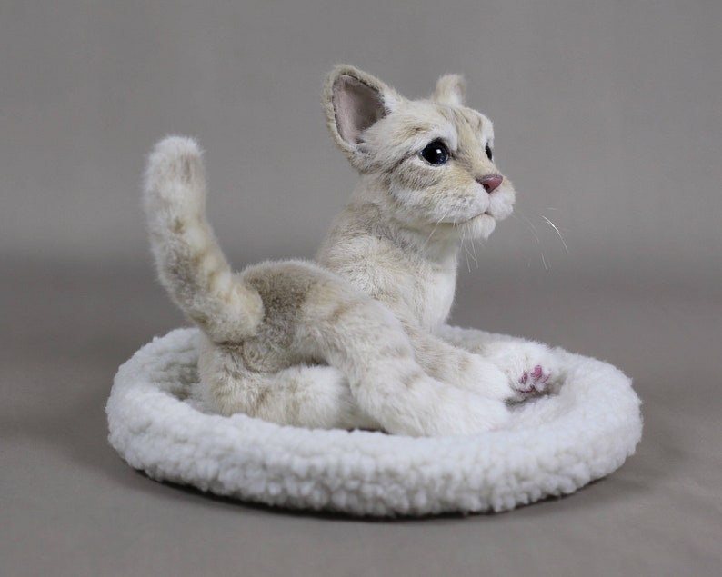 Realistic Cat Soft Sculpture, Pet Portrait by Photo, Stuffed Plush Pet ...