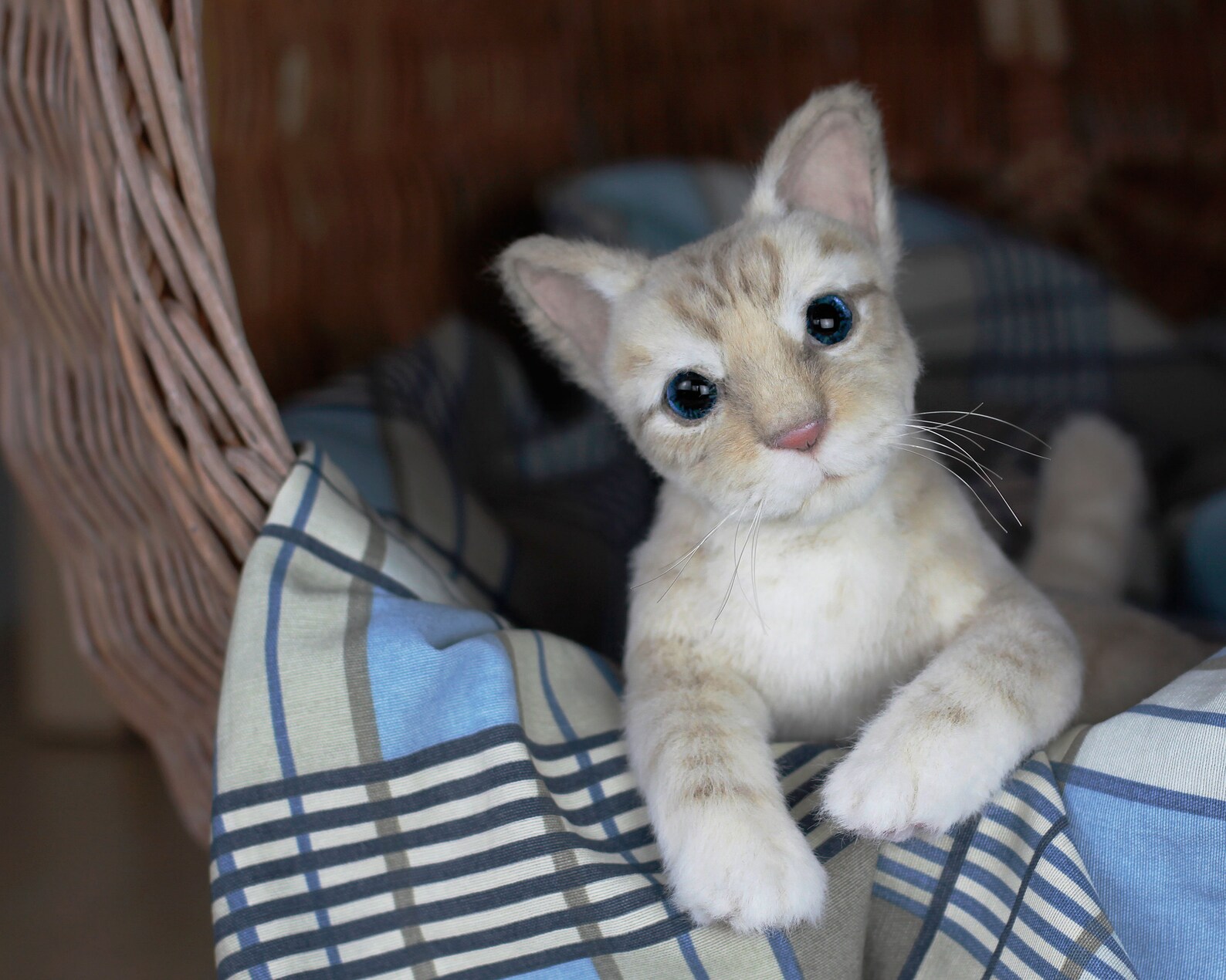 Realistic Cat Soft Sculpture, Pet Portrait by Photo, Stuffed Plush Pet ...