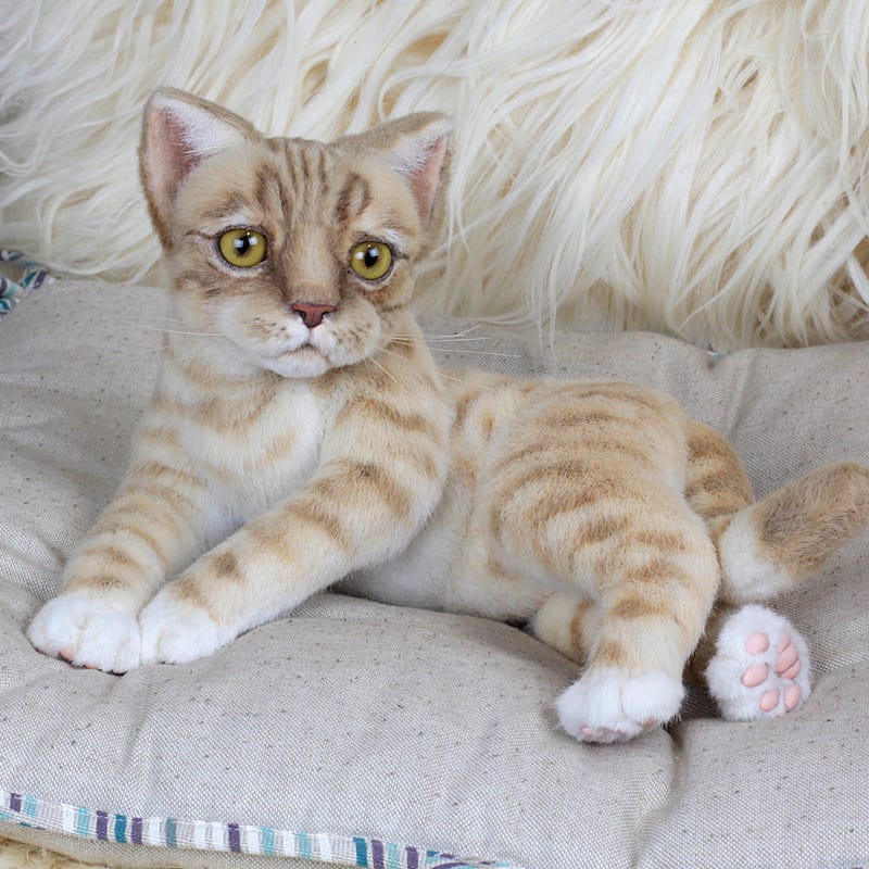 Realistic Lifelike Kitten - Etsy