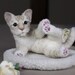 Realistic Cat Soft Sculpture Pet Portrait by Photo Stuffed - Etsy