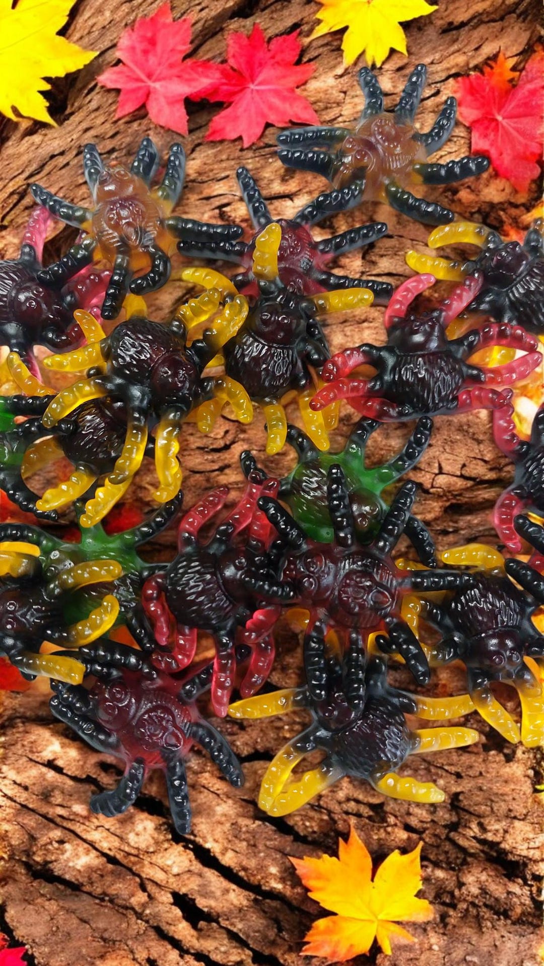 Gummy Fruit Flavoured Jelly Tarantula Halloween Treats Trick or Treat ...