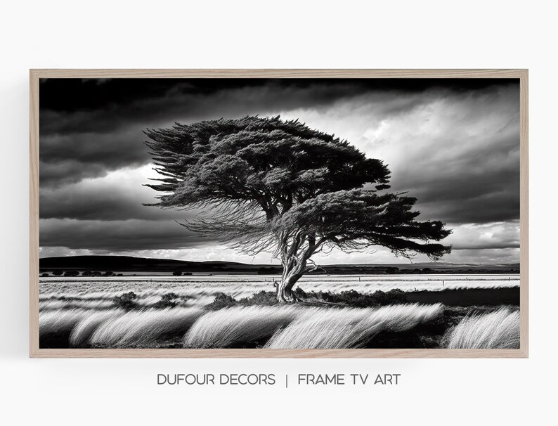 Wind Swept Tree and Clouds, Black and White Landscape Art, Samsung ...