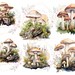 Watercolor Mushroom Clipart, 25 Piece Clipart Bundle, Individual ...