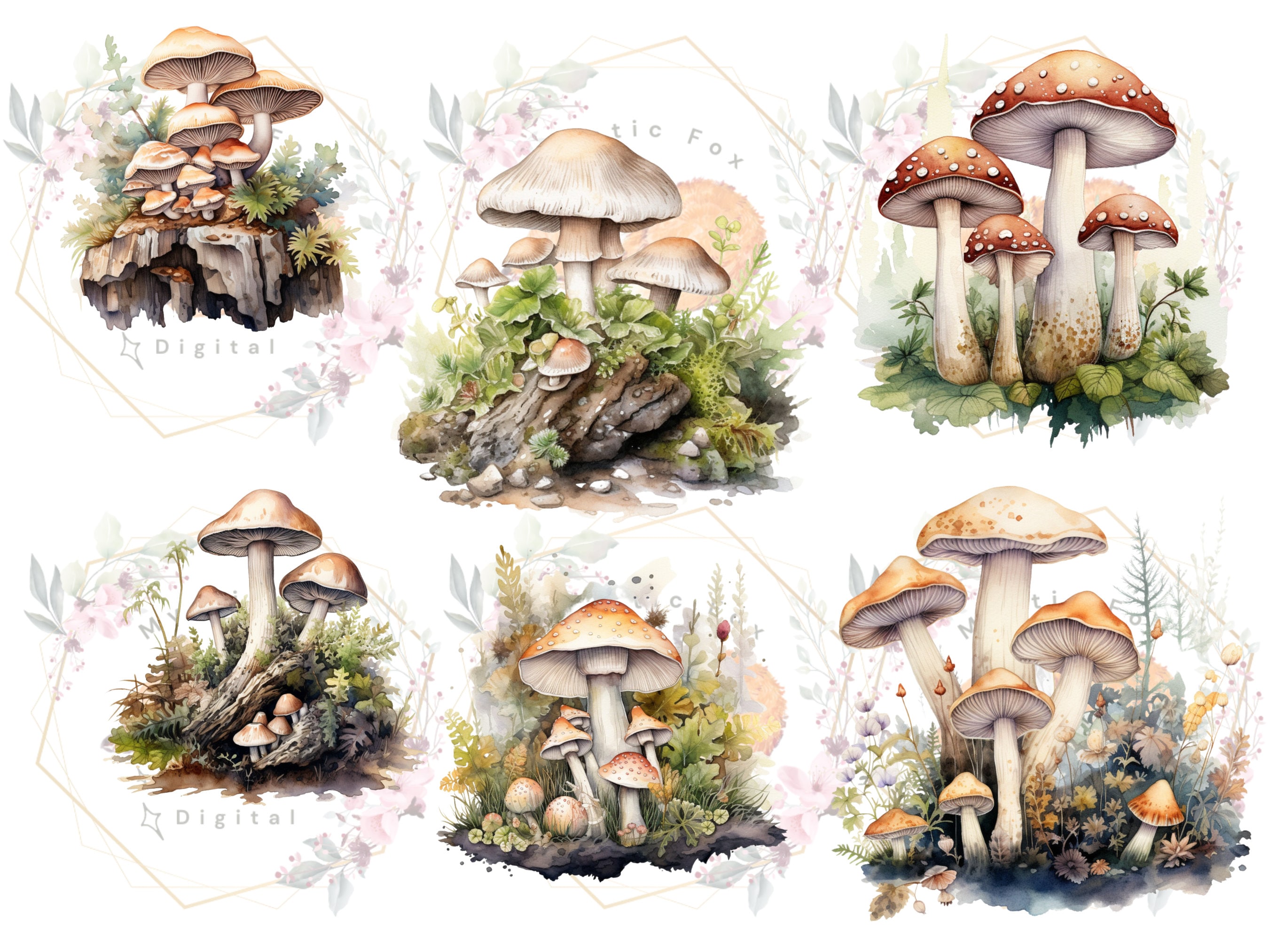 Watercolor Mushroom Clipart, 25 Piece Clipart Bundle, Individual ...