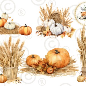 Rustic Watercolor Fall Pumpkin Clipart | Watercolor Autumn, Pumpkin ...