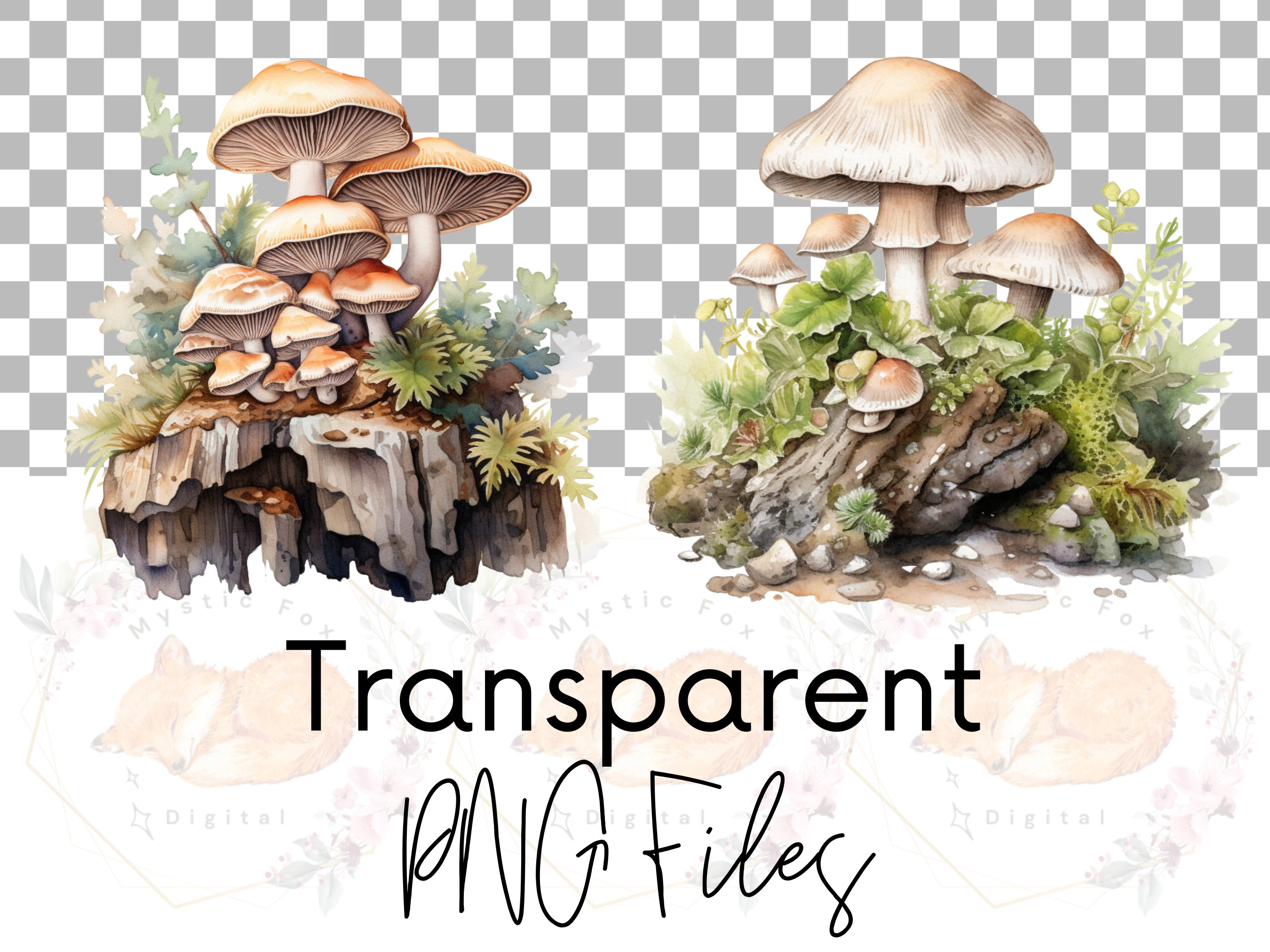 Watercolor Mushroom Clipart, 25 Piece Clipart Bundle, Individual ...