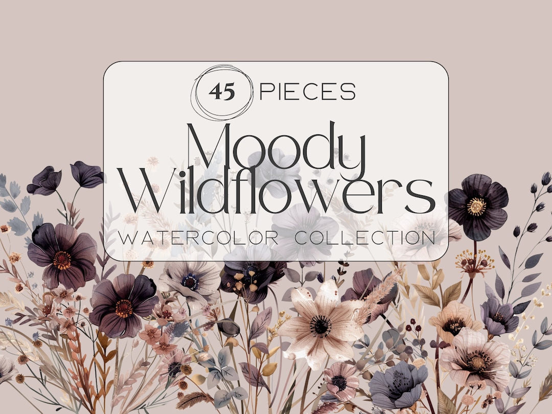 Moody Wildflower Clipart | Moody Aesthetic, Wildflower Png, Wedding ...