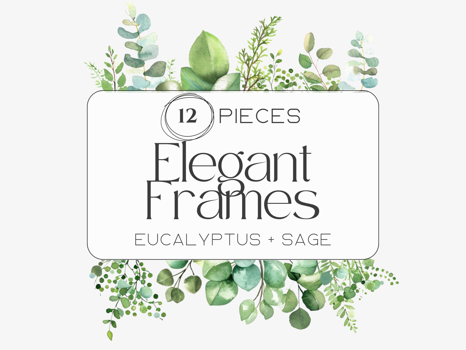 Greenery Frames Clipart | Eucalyptus Wreath, Floral Border Clipart ...