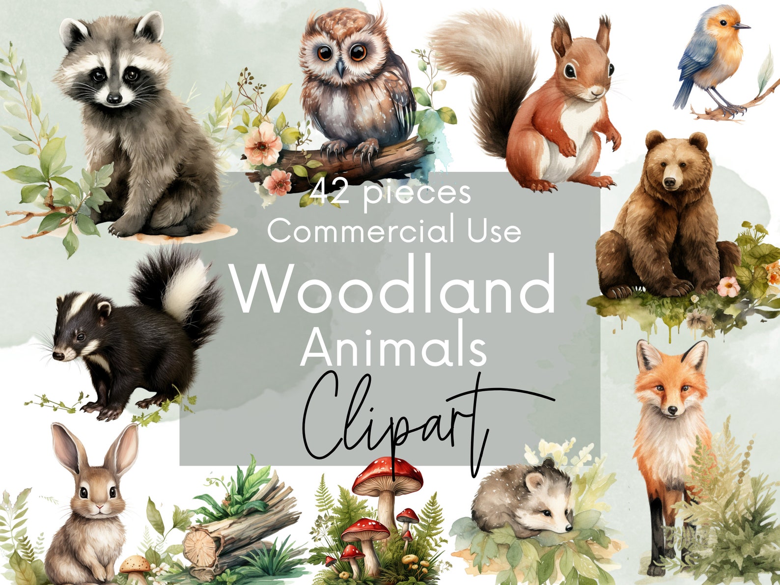 Woodland Animals Clipart, Watercolor Clipart, Watercolor Woodlands ...