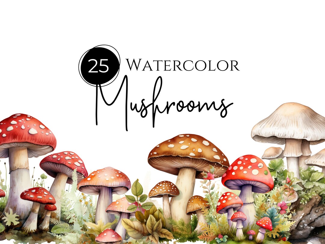 Watercolor Mushroom Clipart, 25 Piece Clipart Bundle, Individual ...