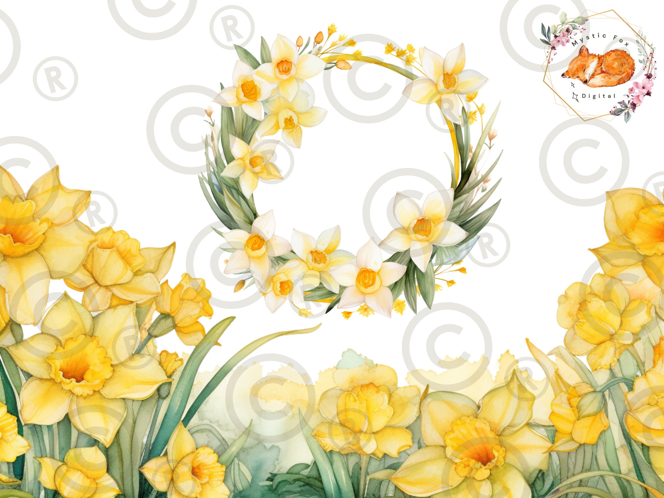 Birth Month Flowers Borders and Wreaths, Birthflower Clipart, Birth ...