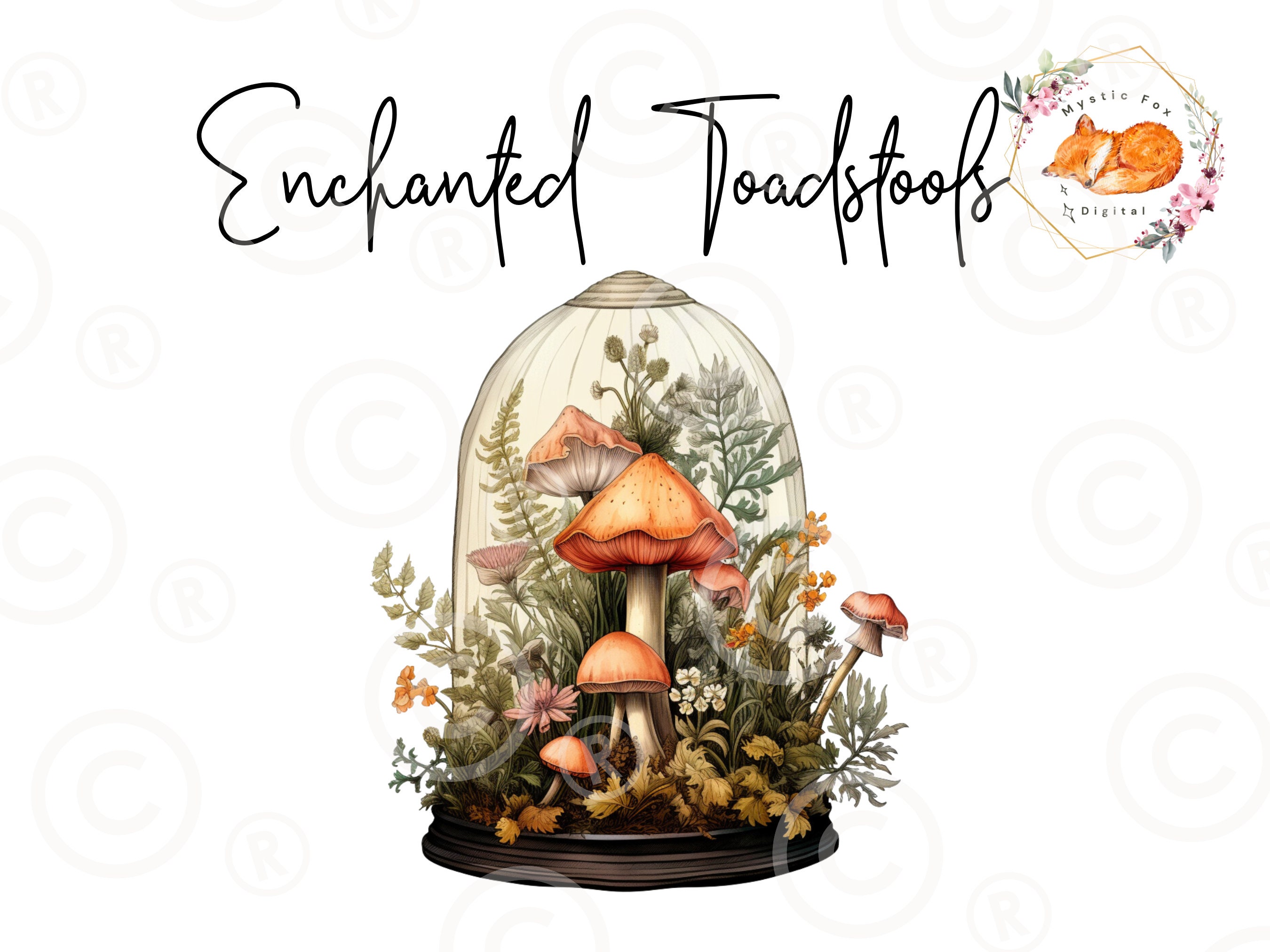 Magical Mushroom Clipart, Mushroom Cloche, Vintage Illustration, Forest ...