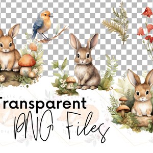 Woodland Animals Clipart, Watercolor Clipart, Watercolor Woodlands ...