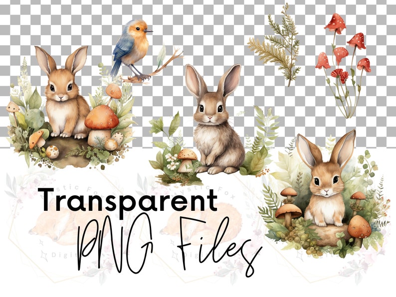Woodland Animals Clipart, Watercolor Clipart, Watercolor Woodlands ...