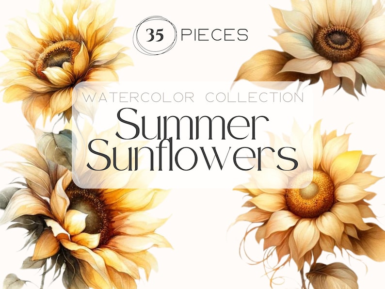 Watercolor Sunflower | Floral Png Clipart, Summer Sunflowers, Sunflower ...