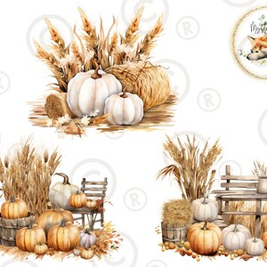 Rustic Watercolor Fall Pumpkin Clipart | Watercolor Autumn, Pumpkin ...