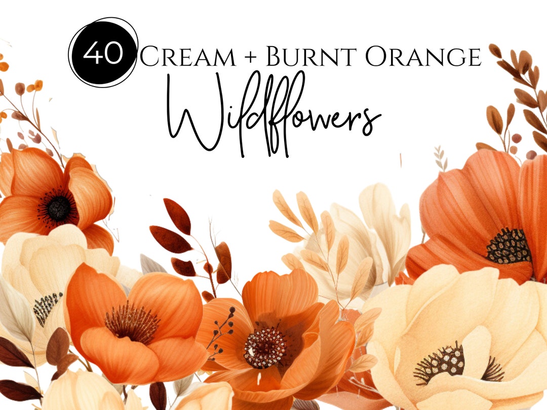 Wildflower Florals Clipart, Wildflowers Clipart, Dainty Florals, Orange ...