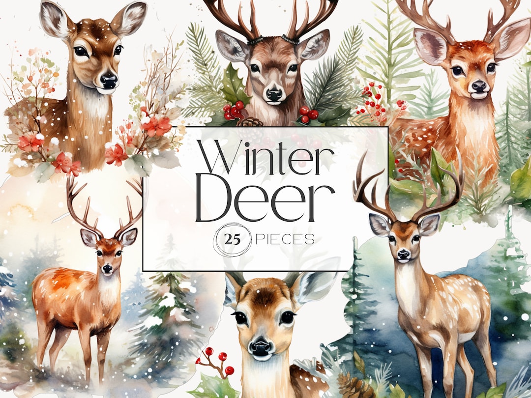 Christmas Deer | Rein Deer, Deer Watercolor Clipart, Watercolor Winter Deer, Winter Png ...