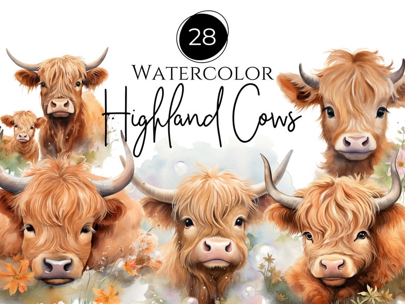 Highland Cow Png, Cow Clipart, Watercolor Highland Cow, Floral Cow ...