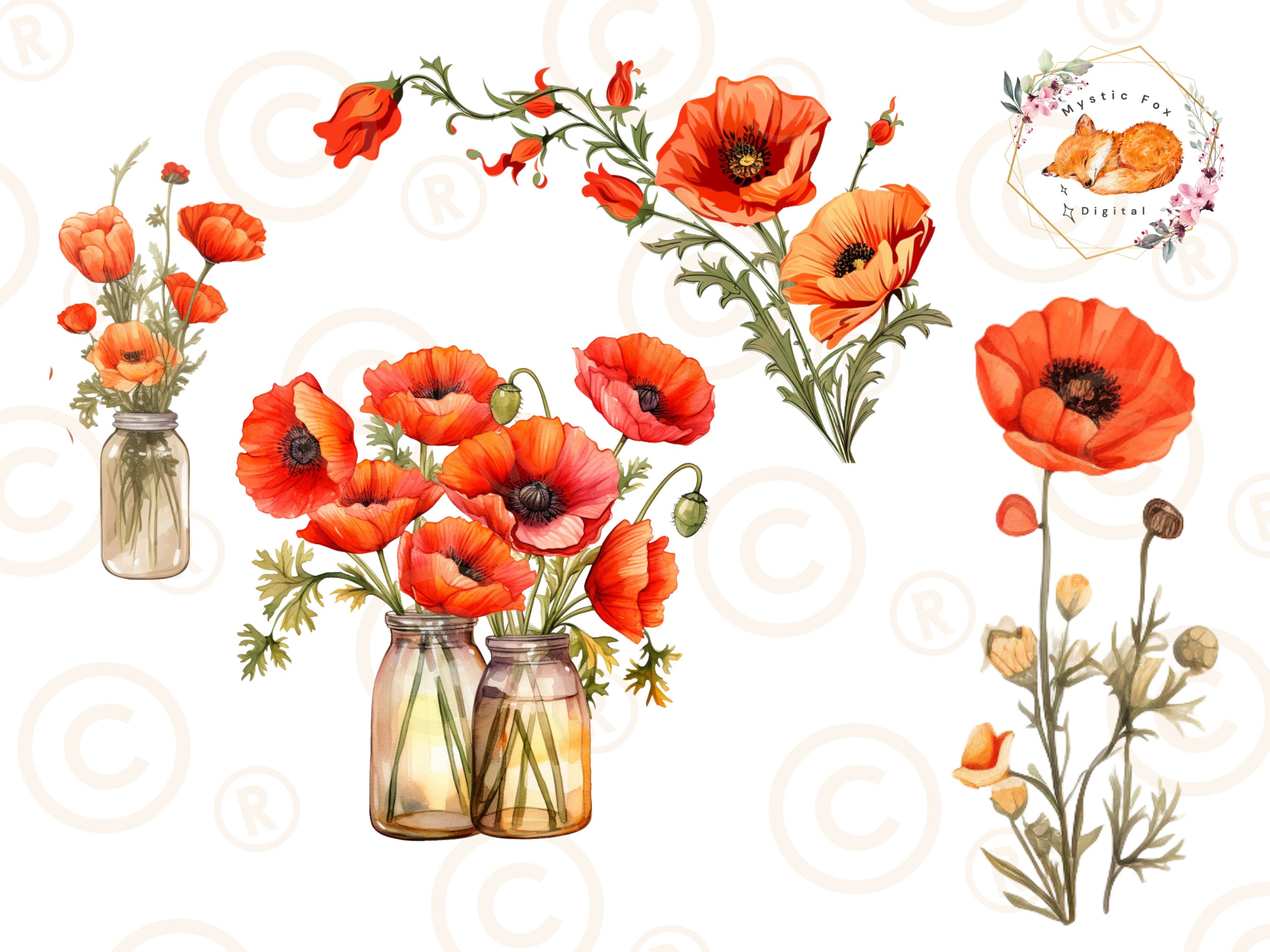 Poppy Flower Clipart, Clipart Poppy, Watercolor Poppies, Transparent ...