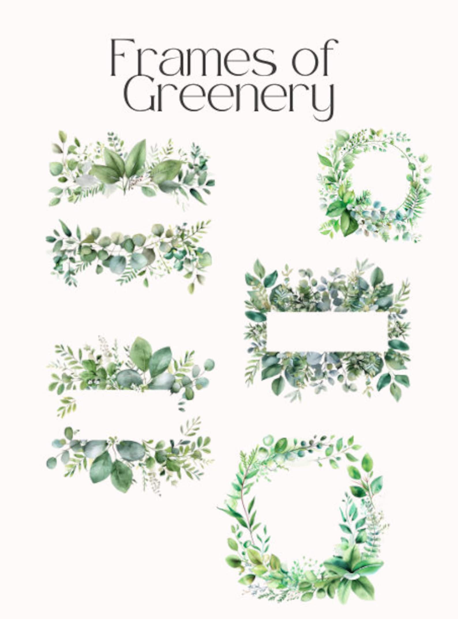 Greenery Frames Clipart Eucalyptus Wreath, Floral Border Clipart, Sage ...