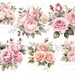 Watercolor Blush Rose Clipart Pink Rose Clipart Pink Rose - Etsy