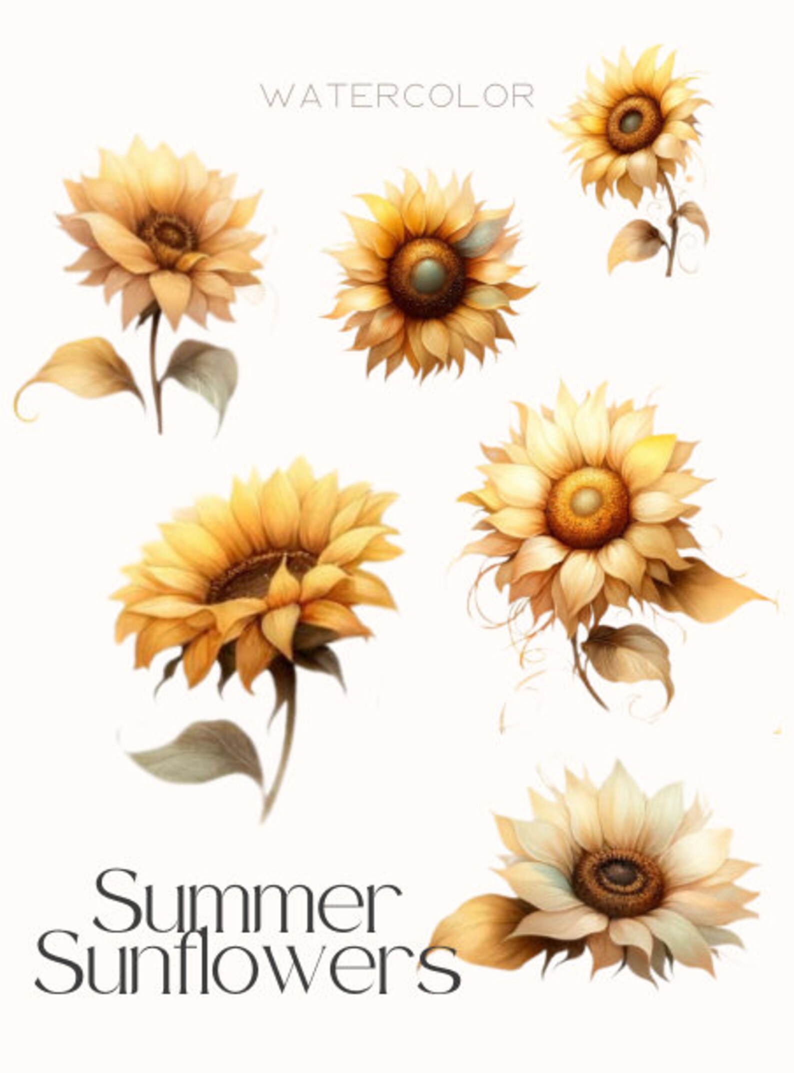 Watercolor Sunflower | Floral Png Clipart, Summer Sunflowers, Sunflower ...