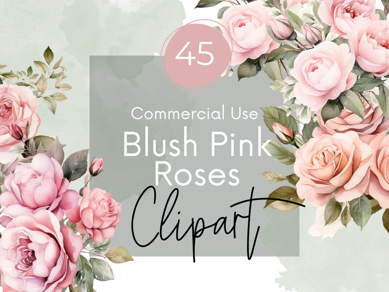 Watercolor Blush Rose Clipart, Pink Rose Clipart, Pink Rose Png ...