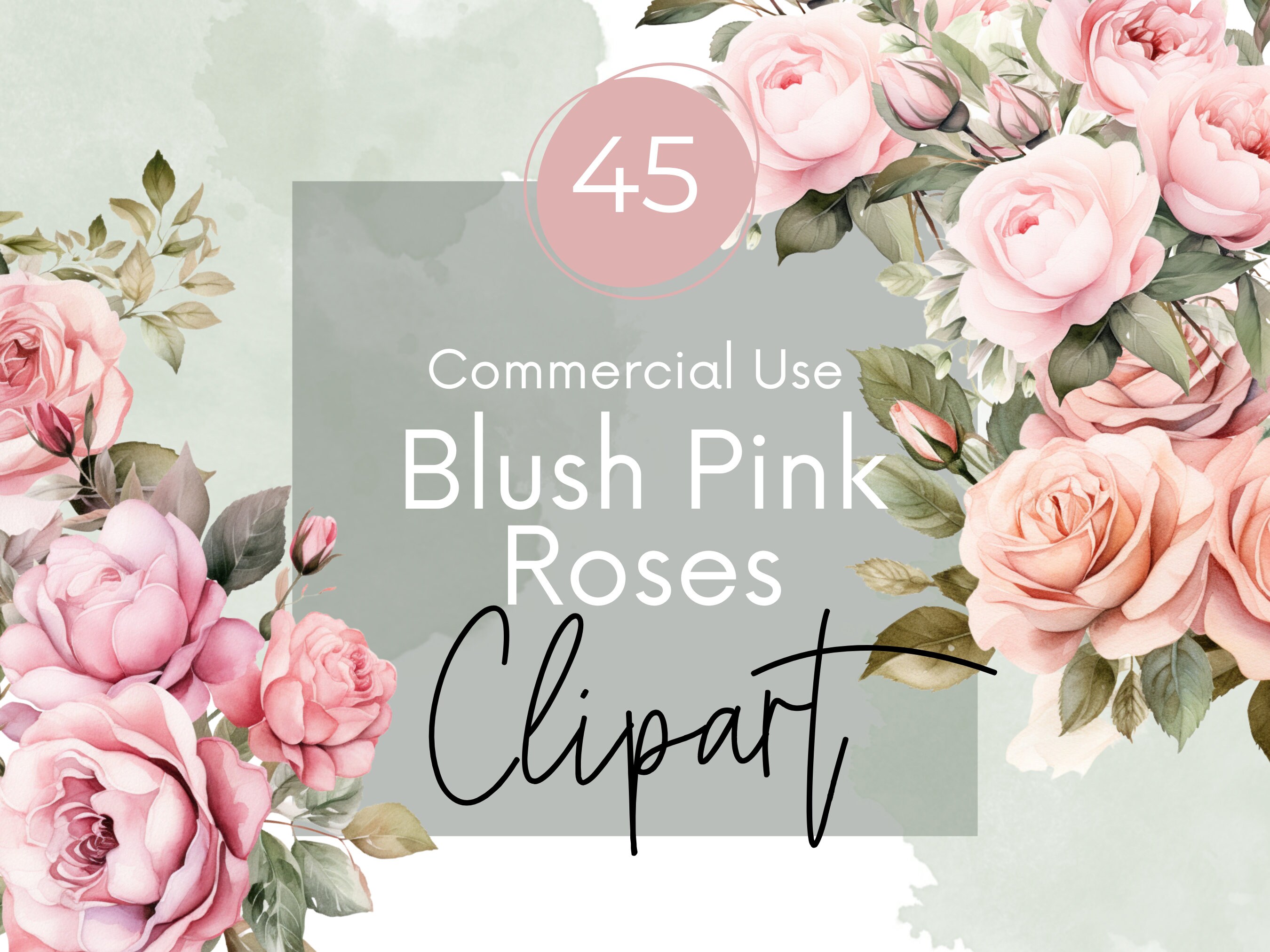 Watercolor Blush Rose Clipart, Pink Rose Clipart, Pink Rose Png ...