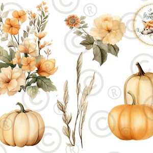 Fall Florals and Pumpkin Clipart | 32 Fall Flowers, Watercolor Fall ...