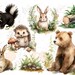 Woodland Animals Clipart, Watercolor Clipart, Watercolor Woodlands ...